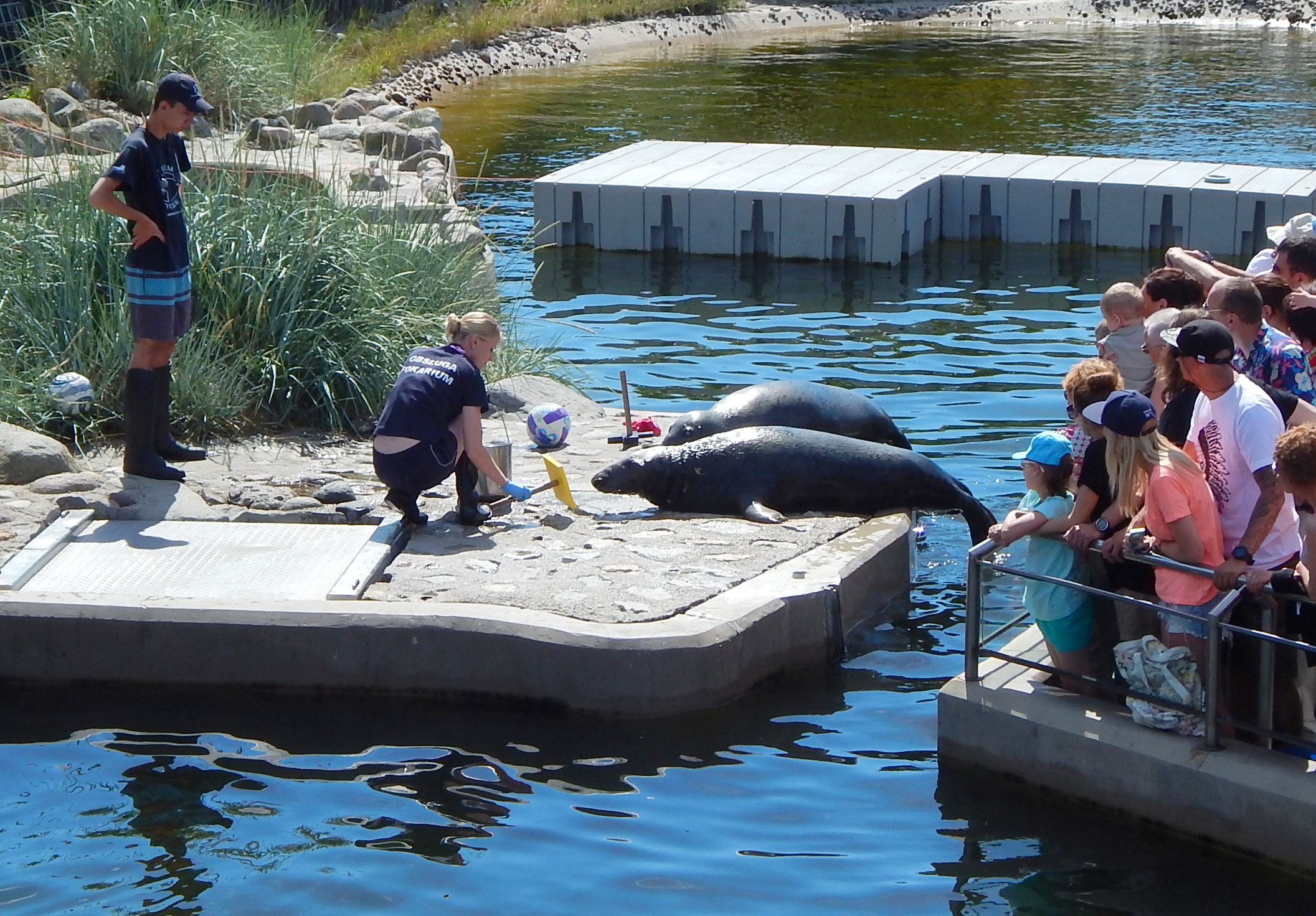 Hel Hel – przewodnik po TOP atrakcjach i ciekawych miejscach